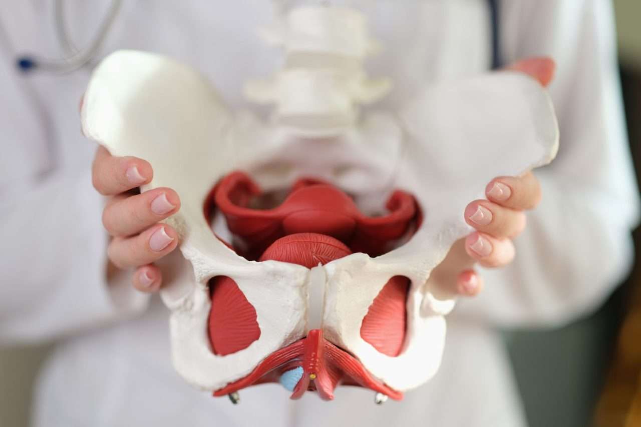 Pelvis y caderas. Protagonistas de la salud femenina